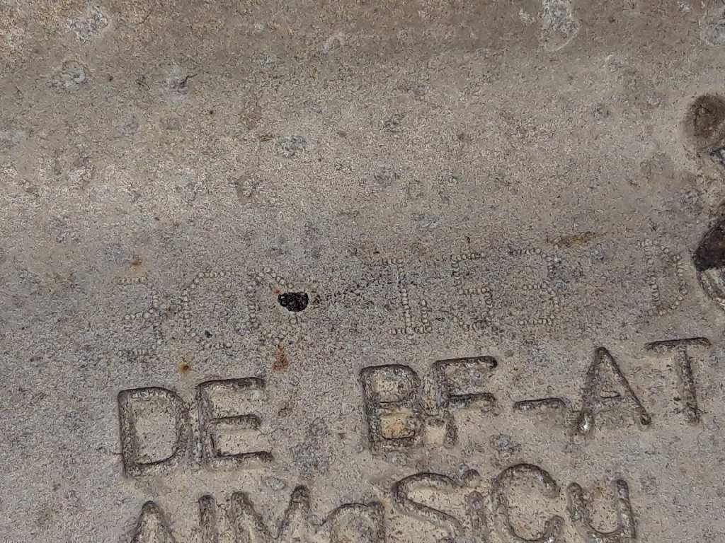 Left front suspension arm VW TIGUAN (5N_) 2.0 TDI 4motion 1904983 | B-Parts