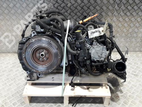 Engine VW POLO (9N_, 9A_) 1.4 TDI 11450975 | B-Parts