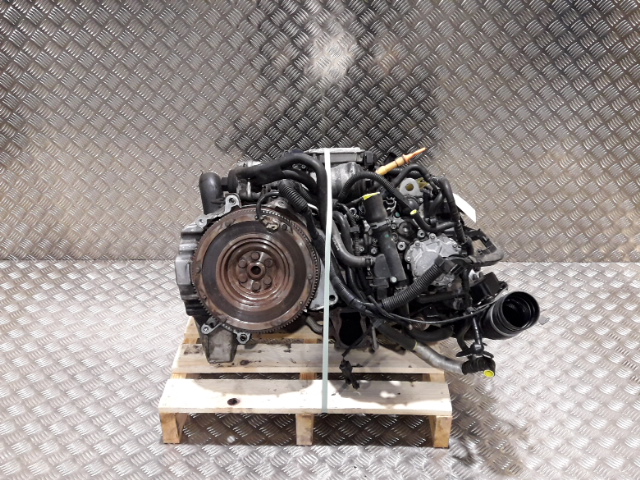 Engine VW POLO (9N_, 9A_) 1.4 TDI 11445555 | B-Parts