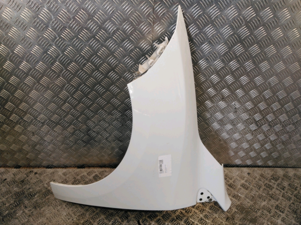 Left front fenders RENAULT MEGANE III Hatchback (BZ0/1_, B3_) 1.5 dCi ...