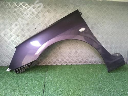 Guarda-lamas esquerdo PEUGEOT 307 (3A/C) 2.0 HDi 90 13005012 | B-Parts