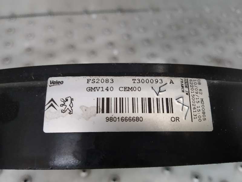 Radiator fan PEUGEOT 207 (WA_, WC_) 1.6 HDi 9801666680 | B-Parts