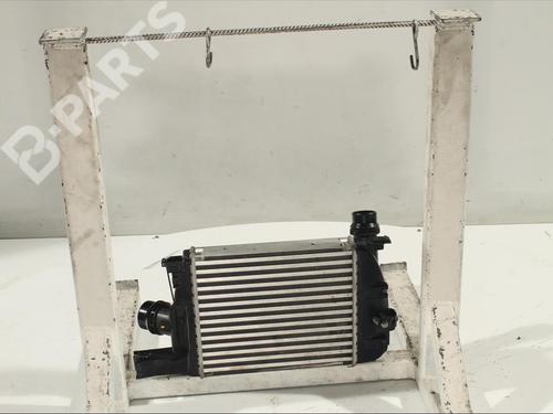 Intercooler DACIA SANDERO II 11908919 | B-Parts