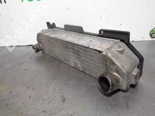 Intercooler TATA INDICA 1.4 i 5037596 | B-Parts