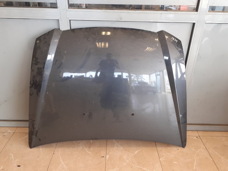 Hood FIAT STILO (192_) 1.9 JTD (192_XE1A) 9872439 | B-Parts