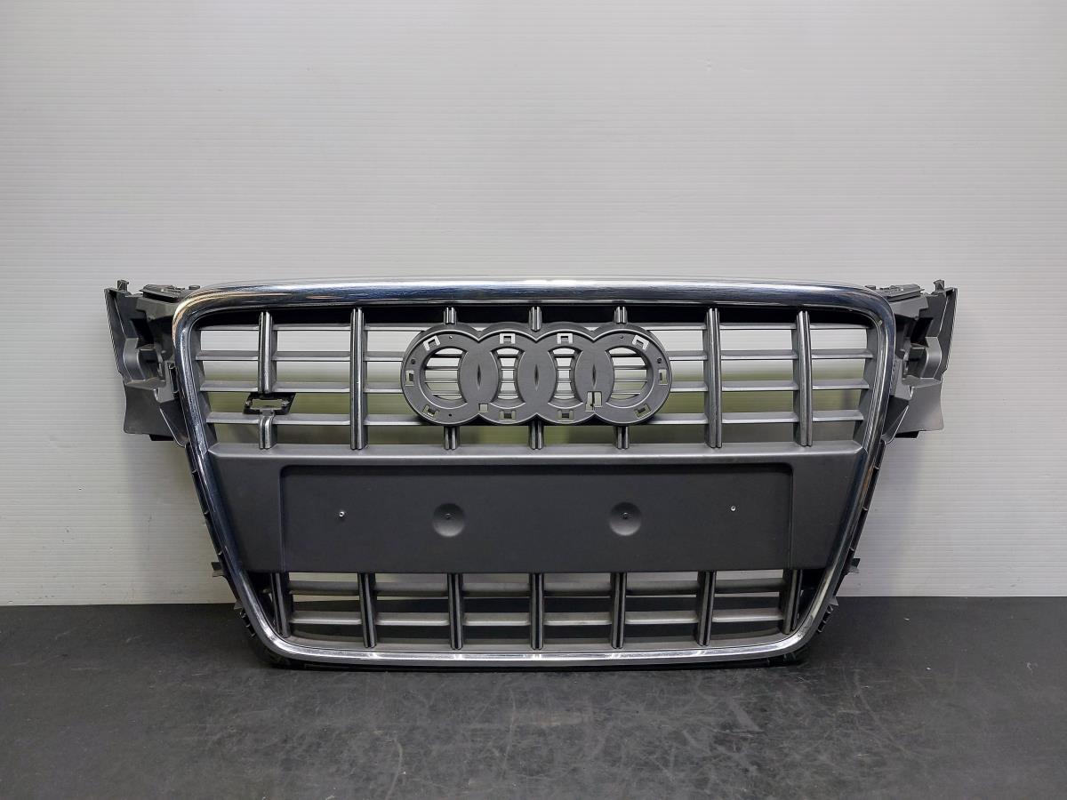 Grilles de calandre AUDI A4 B8 (8K2) S4 quattro 17132553 | B-Parts