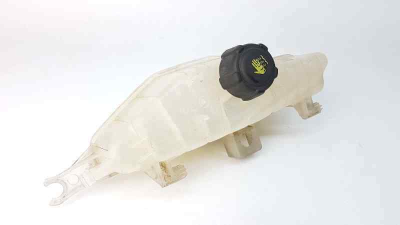 Expansion tank RENAULT CLIO III (BR0/1, CR0/1) 1.5 dCi 7701477290 | B-Parts