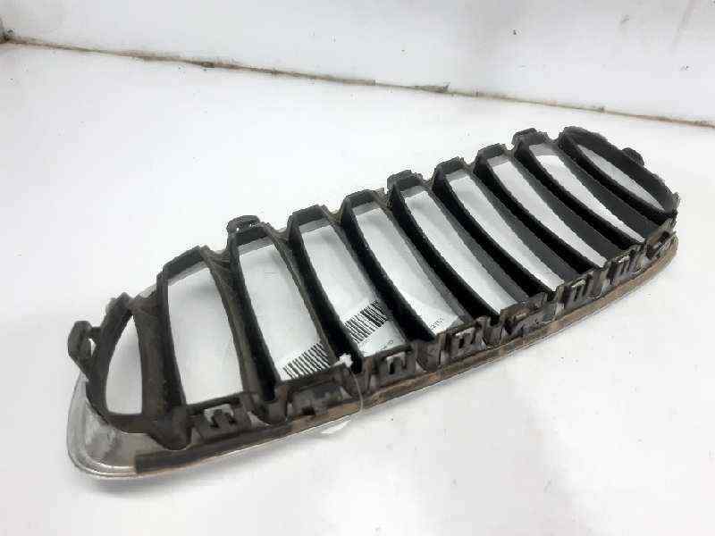 Front grille BMW Z4 Roadster (E89) sDrive 20 i 51137191510 | B-Parts