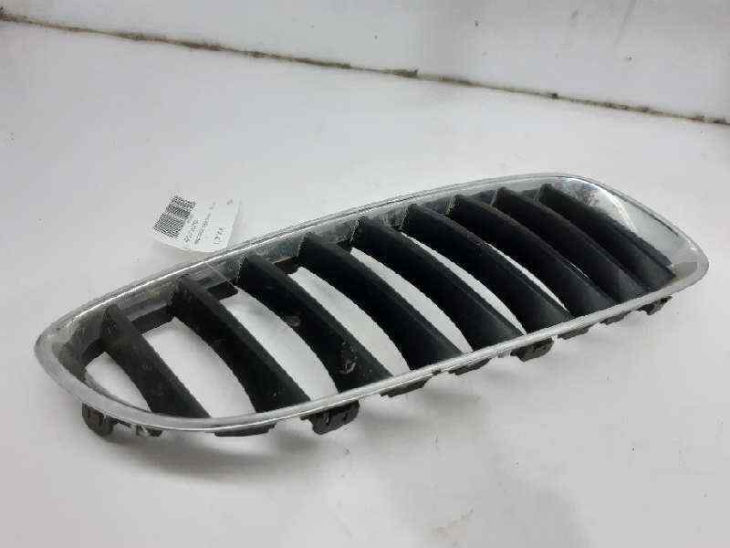 Front grille BMW Z4 Roadster (E89) sDrive 20 i 51137191510 | B-Parts