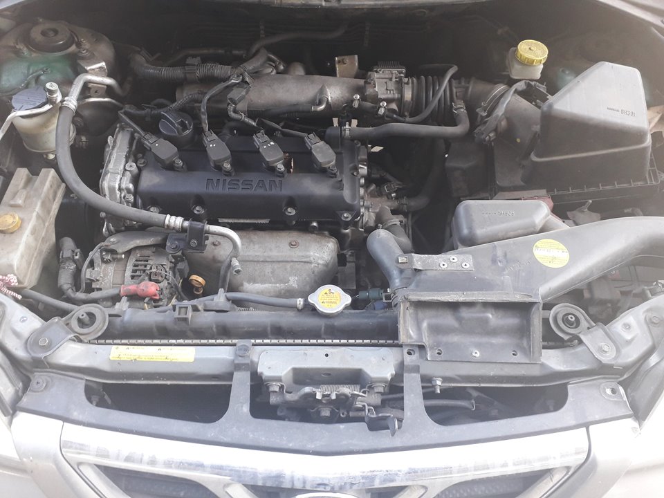 Motor NISSAN X-TRAIL (T30) 9095697 | B-Parts