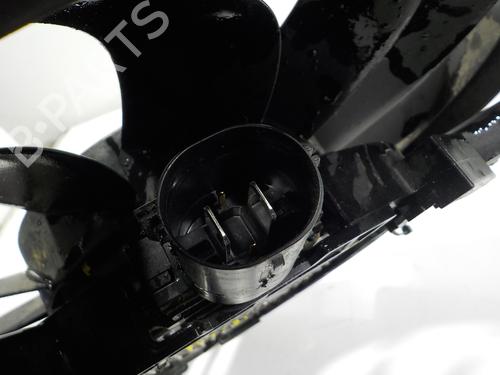 Radiator fan RENAULT TRAFIC III Van (FG_) 2.0 dCi 120 (FGMN) 12234076 ...