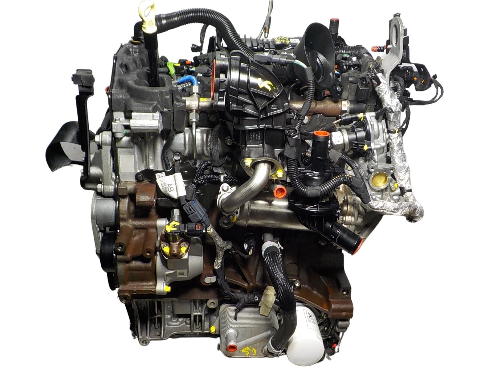 Moteur FORD TRANSIT V363 Bus (FAD, FBD) 15256403 | B-Parts