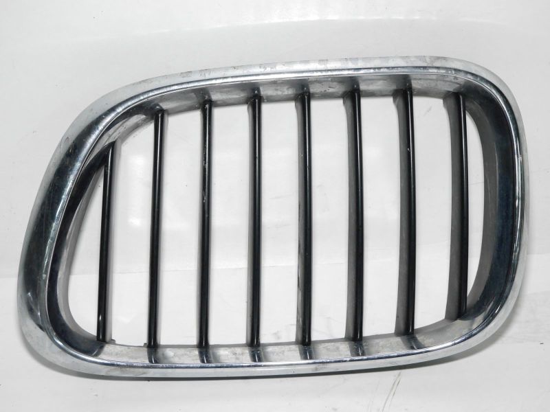 Grill/Gitter BMW X5 (E53) 3.0 d 17925661 | B-Parts