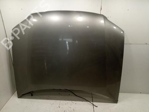 Motorhaube VW PASSAT B5.5 Variant (3B6) 1.9 TDI 6460488 | B-Parts
