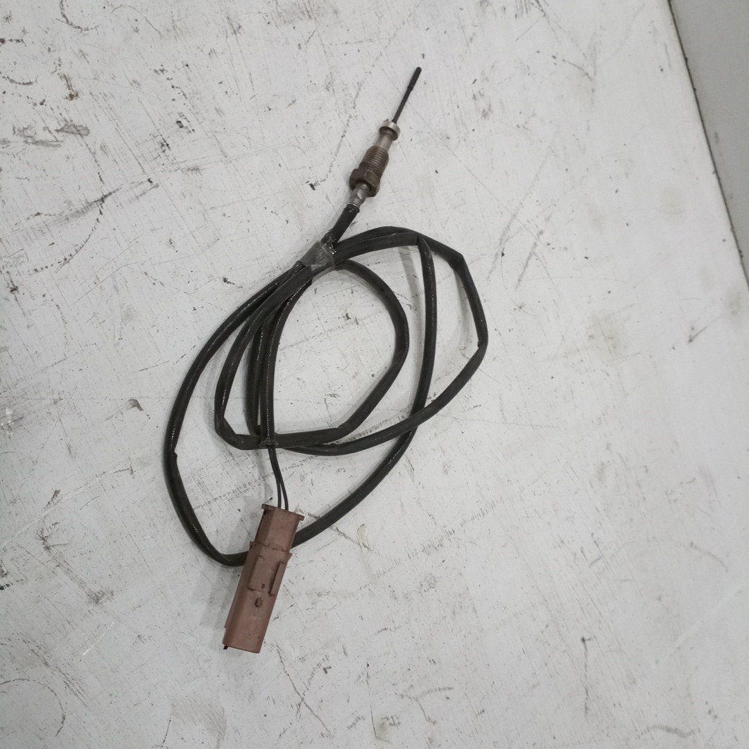 Sonda eletrónica PEUGEOT 307 (3A/C) 17257241 | B-Parts