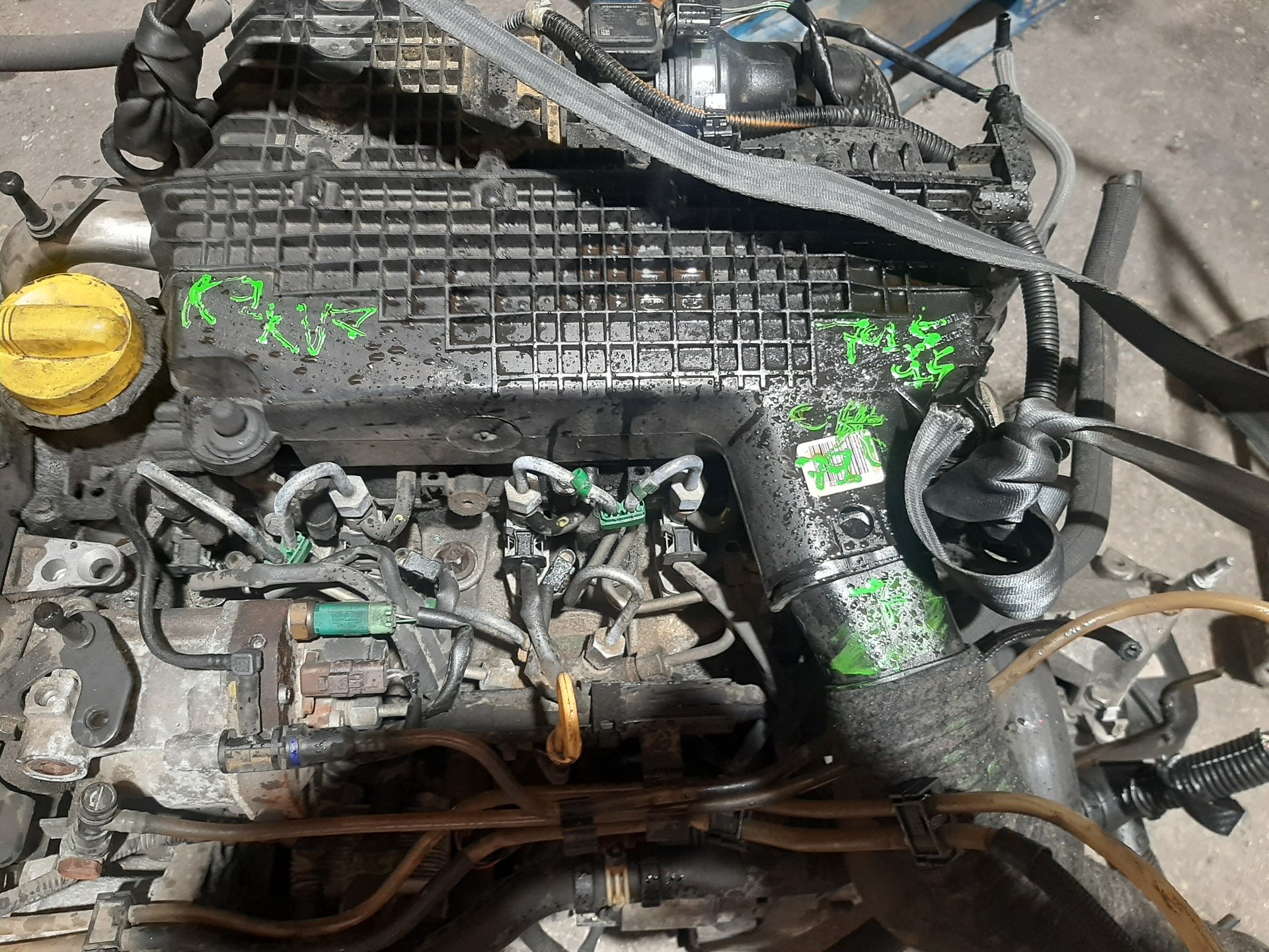 Engine RENAULT CLIO III (BR0/1, CR0/1) 17333097 | B-Parts