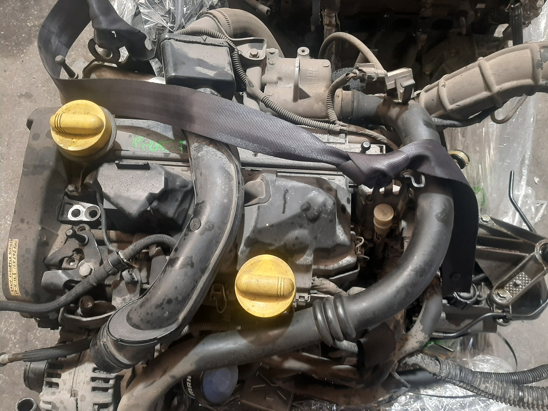 Engine RENAULT MODUS / GRAND MODUS (F/JP0_) 18136504 | B-Parts