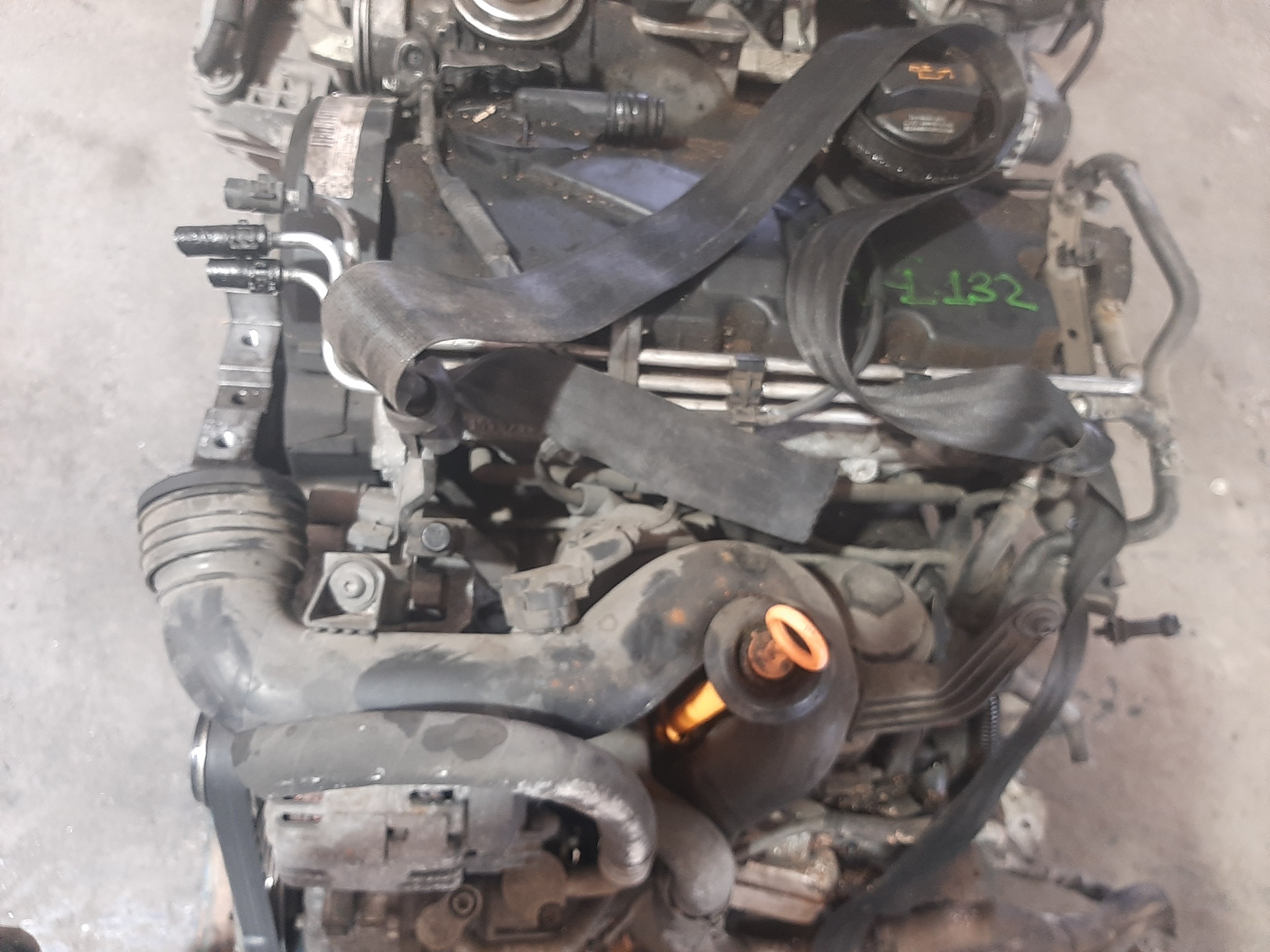 Engine VW GOLF V (1K1) 17559012 | B-Parts