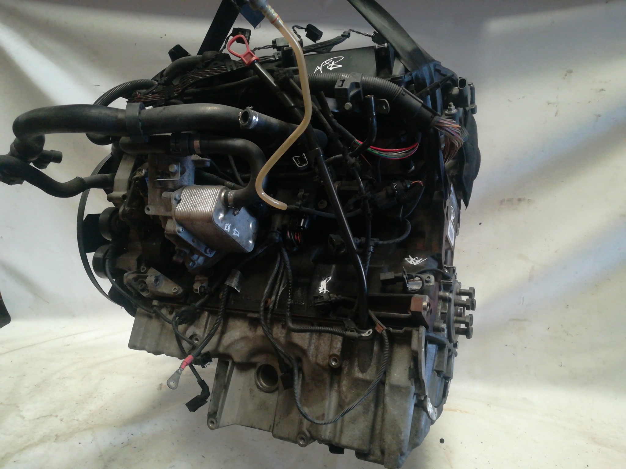 Engine BMW X5 (E53) 3.0 d 4999981 | B-Parts