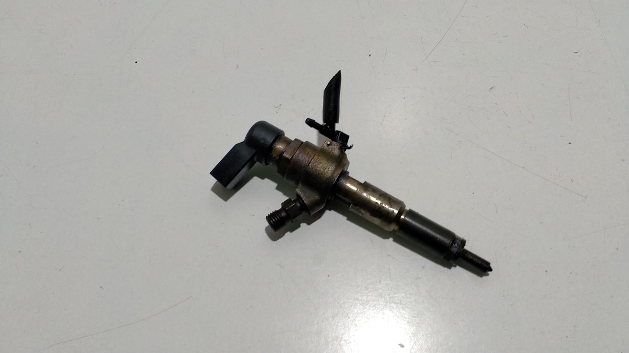 Injector PEUGEOT 206 Hatchback (2A/C) 1.4 HDi eco 70 11044625 | B-Parts