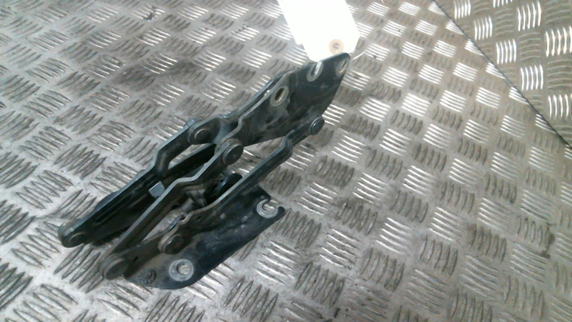 Hinge/Door check strap VW GOLF PLUS V (5M1, 521) 20014870 | B-Parts