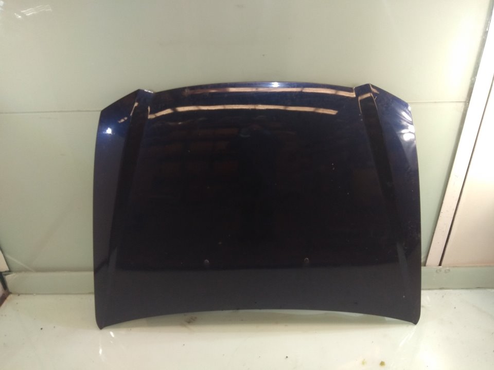 Hood FIAT STILO (192_) 1.9 JTD (192_XE1A) 9221271 | B-Parts