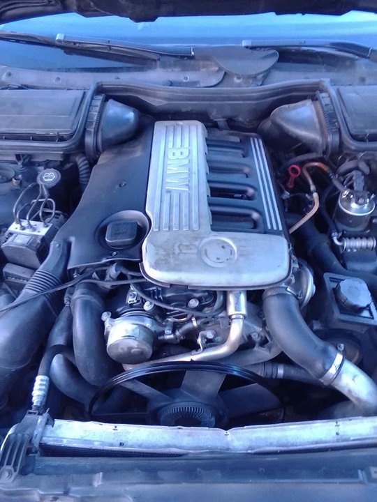 Engine BMW 5 (E39) 530 d 11505595 | B-Parts