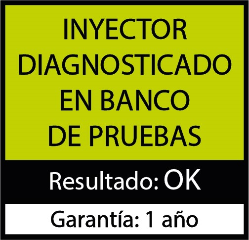 Injector BMW 3 (E90) 330 d 8065885 | B-Parts