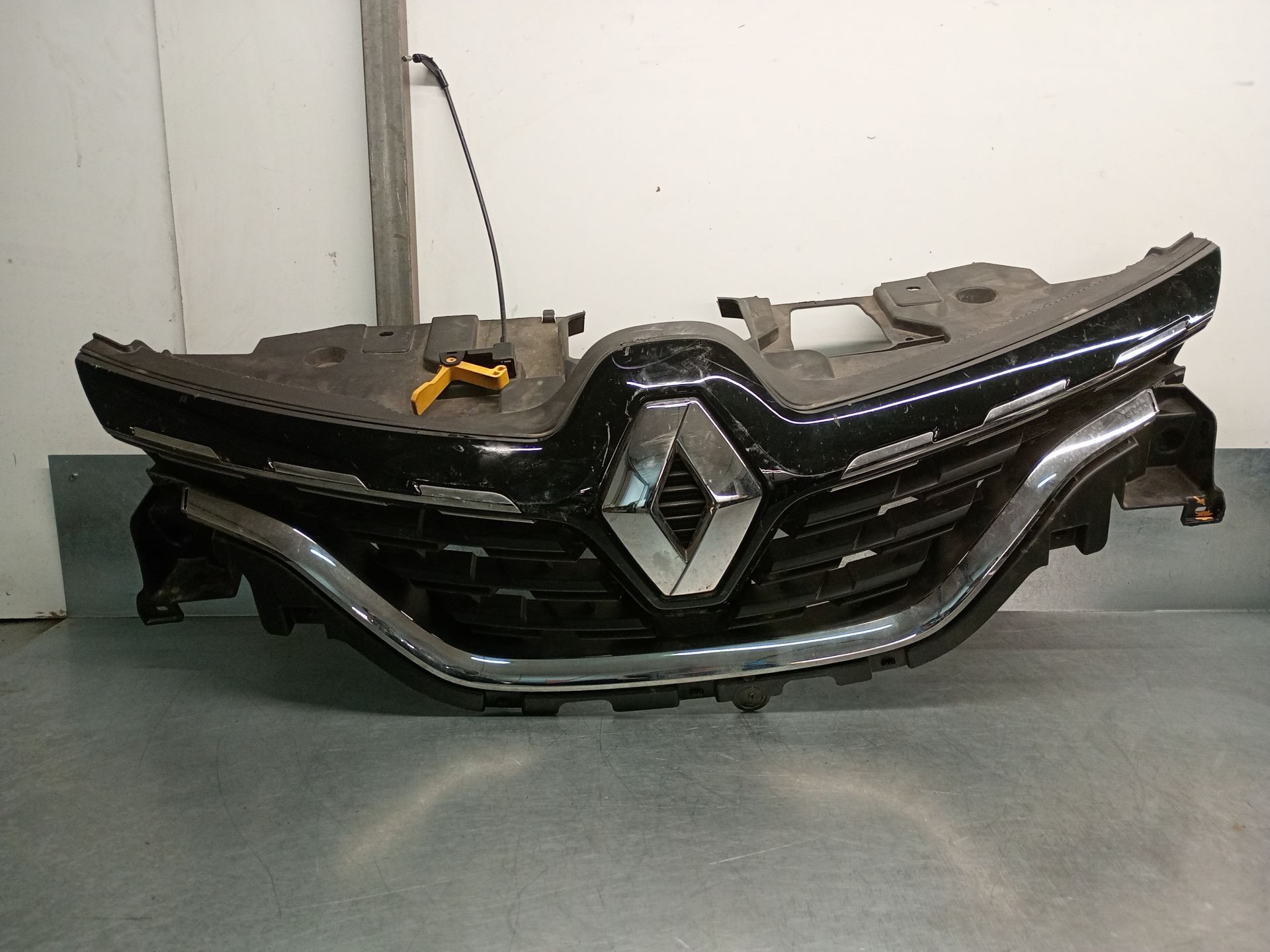 Griglia RENAULT CAPTUR II (HF_) LPG (HFMT) 29625100 | B-Parts