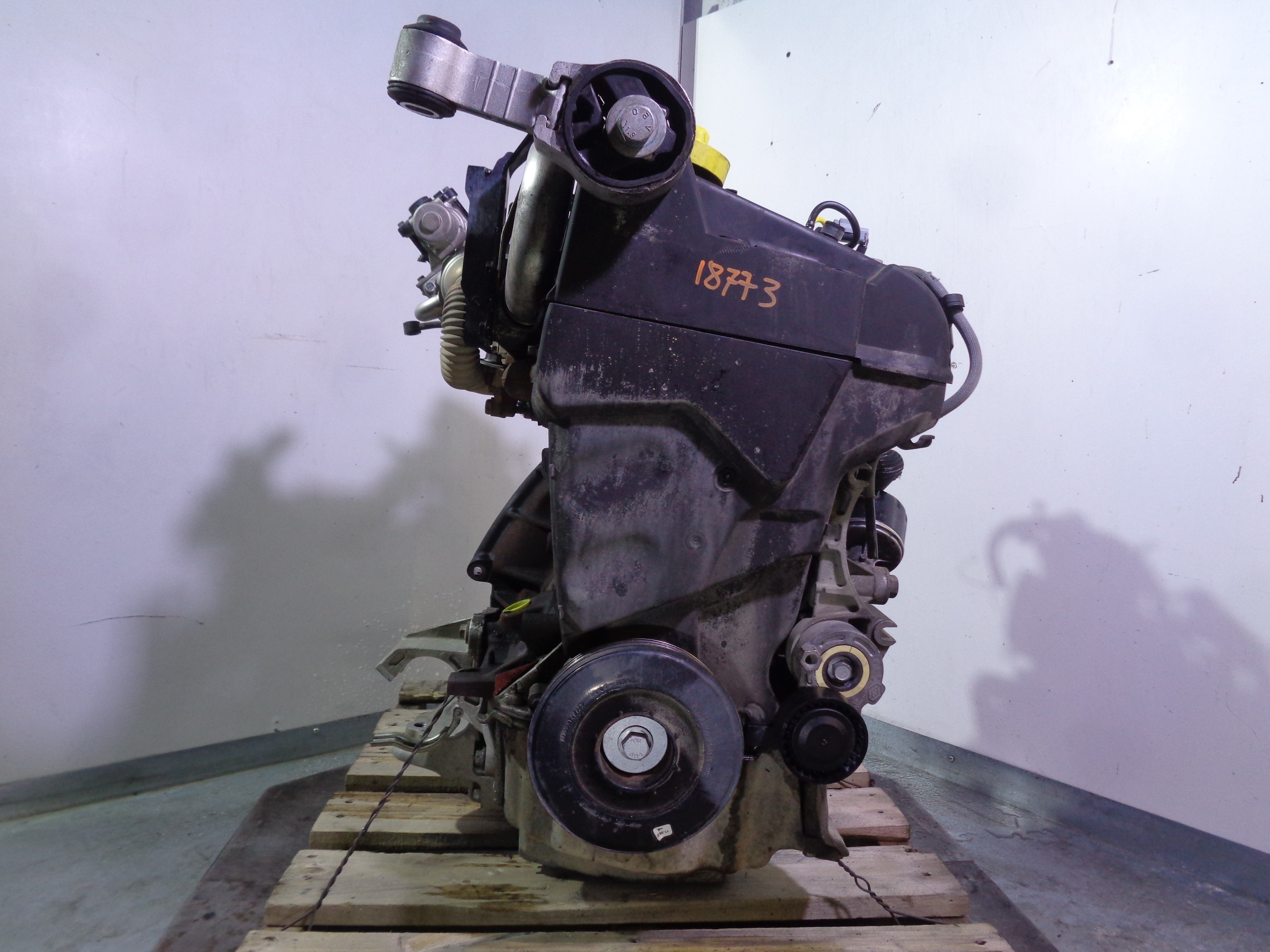 Motor RENAULT LAGUNA III (BT0/1) 1.5 dCi (BT00, BT0A, BT0T, BT1J) 15264429 | B-Parts