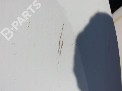 Hood RENAULT MASTER III Van (FV) 2.3 dCi 100 FWD (FV0A, FV0B, FV0G ...