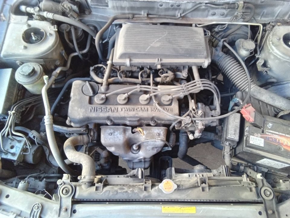 Engine NISSAN PRIMERA Hatchback (P11) 1.6 16V 11539925 | B-Parts
