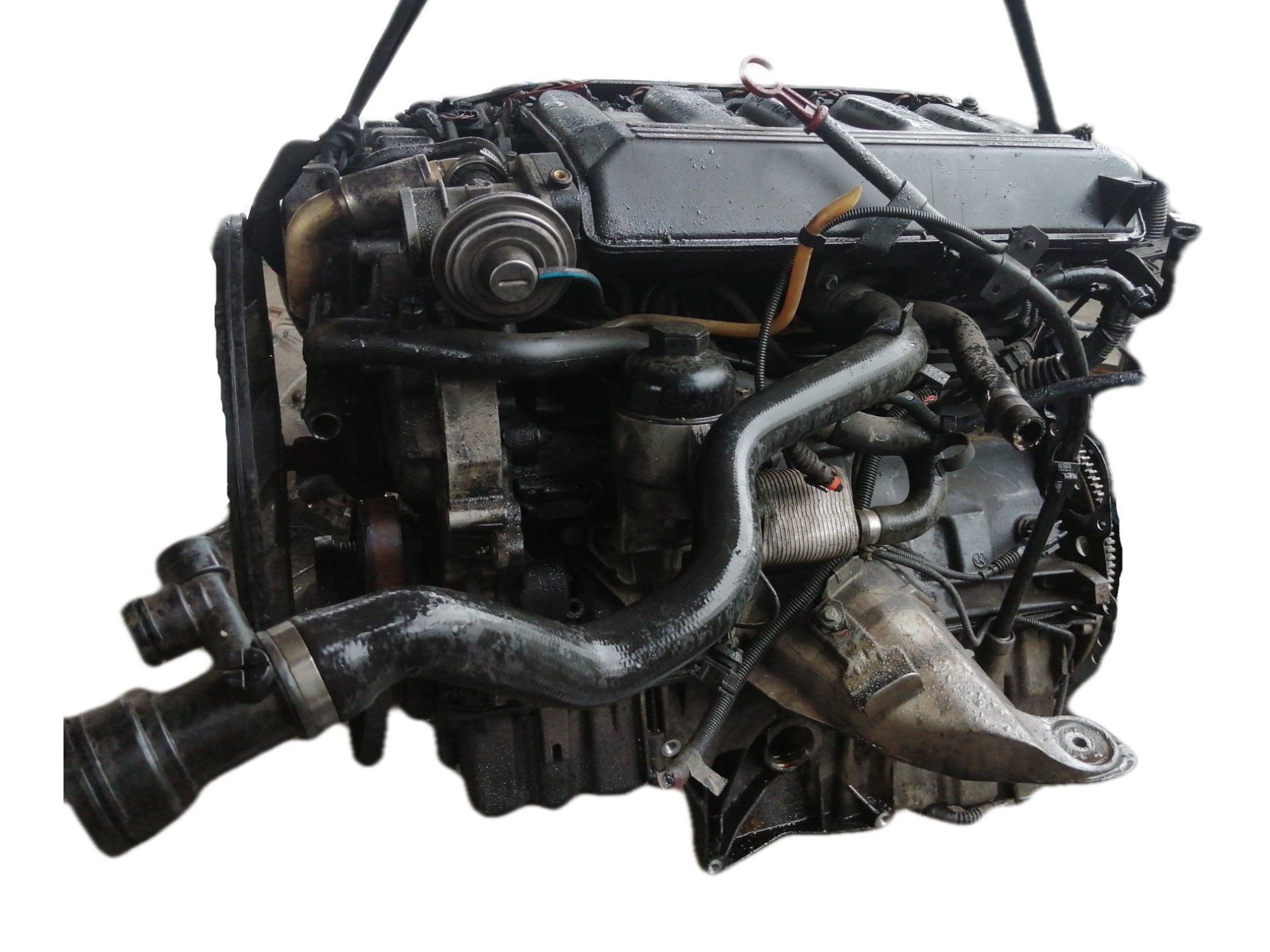 Engine BMW X5 (E53) 3.0 d 8422046 | B-Parts