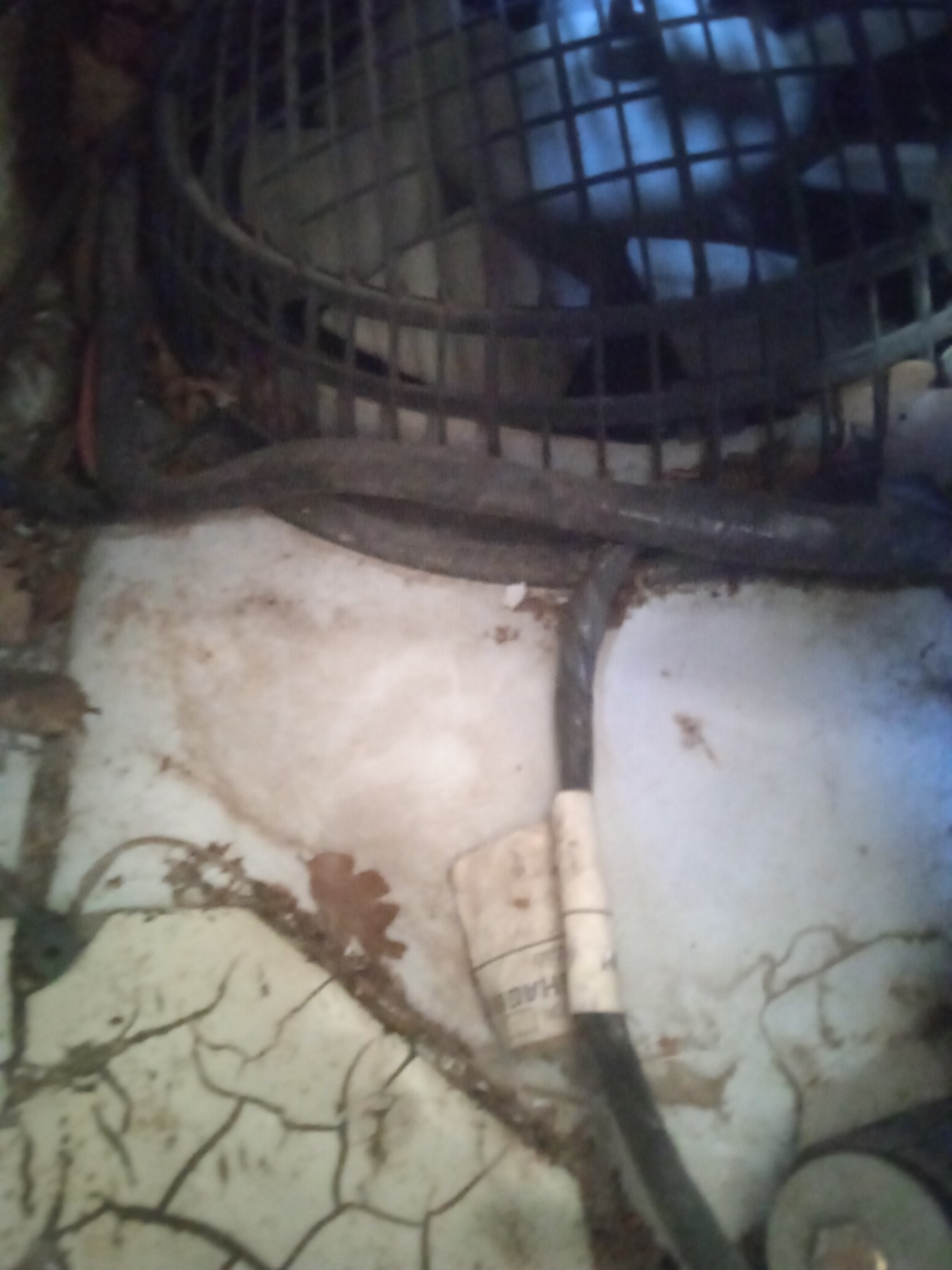 Heater blower motor RENAULT RAPID Box Body/MPV (F40_, G40_) 1.2 21222213 | B-Parts