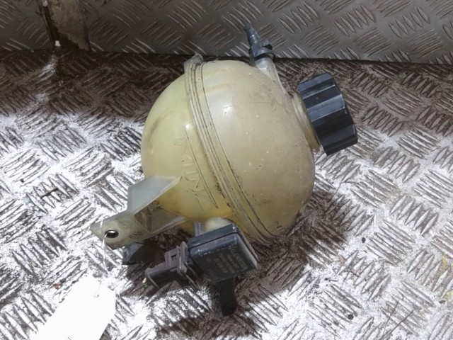 Expansion tank PEUGEOT 206 Hatchback (2A/C) 1.4 HDi eco 70 24130990 | B ...