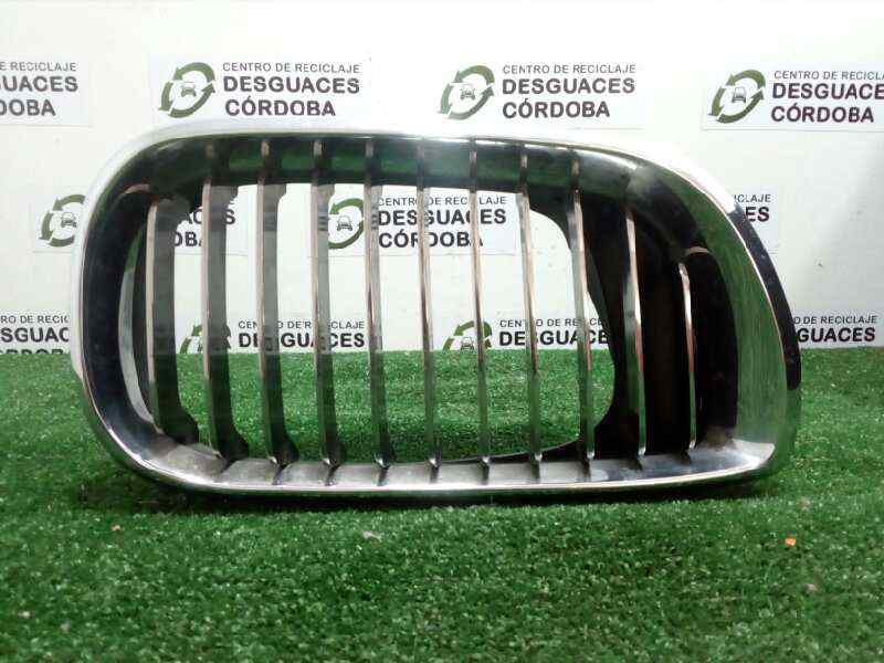 Grille BMW 3 (E46) 6479807 | B-Parts