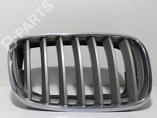 Front grille BMW X6 (E71, E72) xDrive 30 d 8147154 | B-Parts