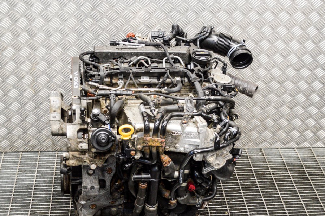Engine VW GOLF VII Variant (BA5, BV5) 1.6 TDI VW: CRK , CRKB | B-Parts