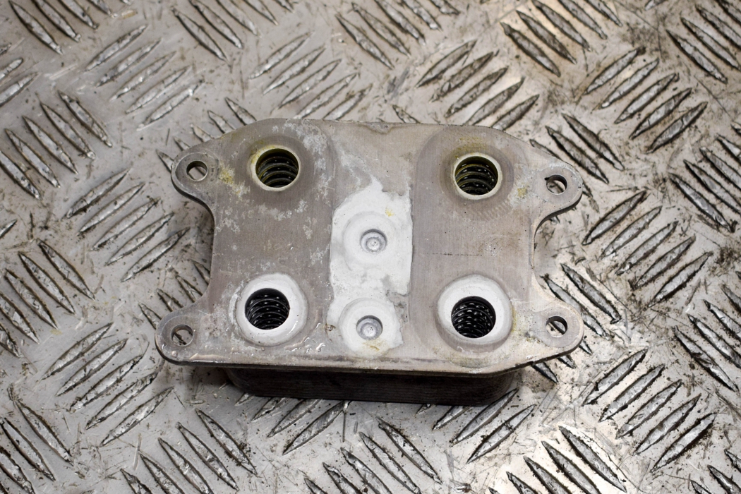 Oil radiator VW GOLF VII (5G1, BQ1, BE1, BE2) 1.5 TSI 8935713 | B-Parts