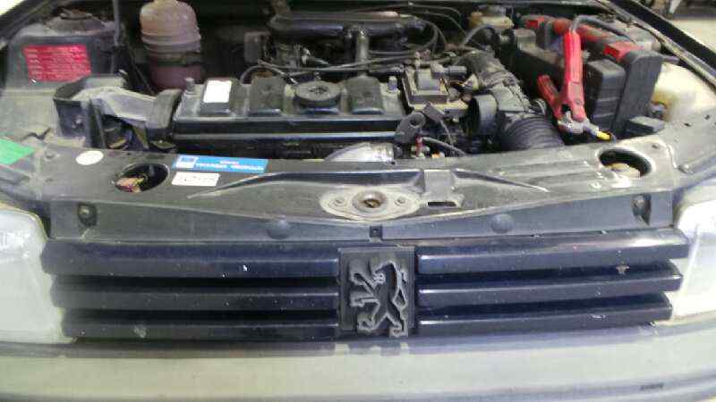 Front grille PEUGEOT 205 II (20A/C) 1.7 Diesel 6687575 | B-Parts