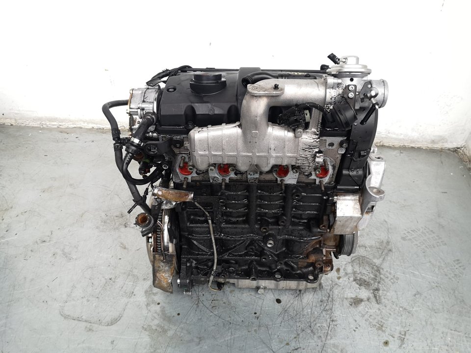 Motor VW GOLF IV (1J1) 1.9 TDI 7872048 | B-Parts