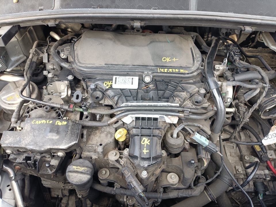 Motor FORD S-MAX (WA6) 2.0 TDCi 15833375 | B-Parts