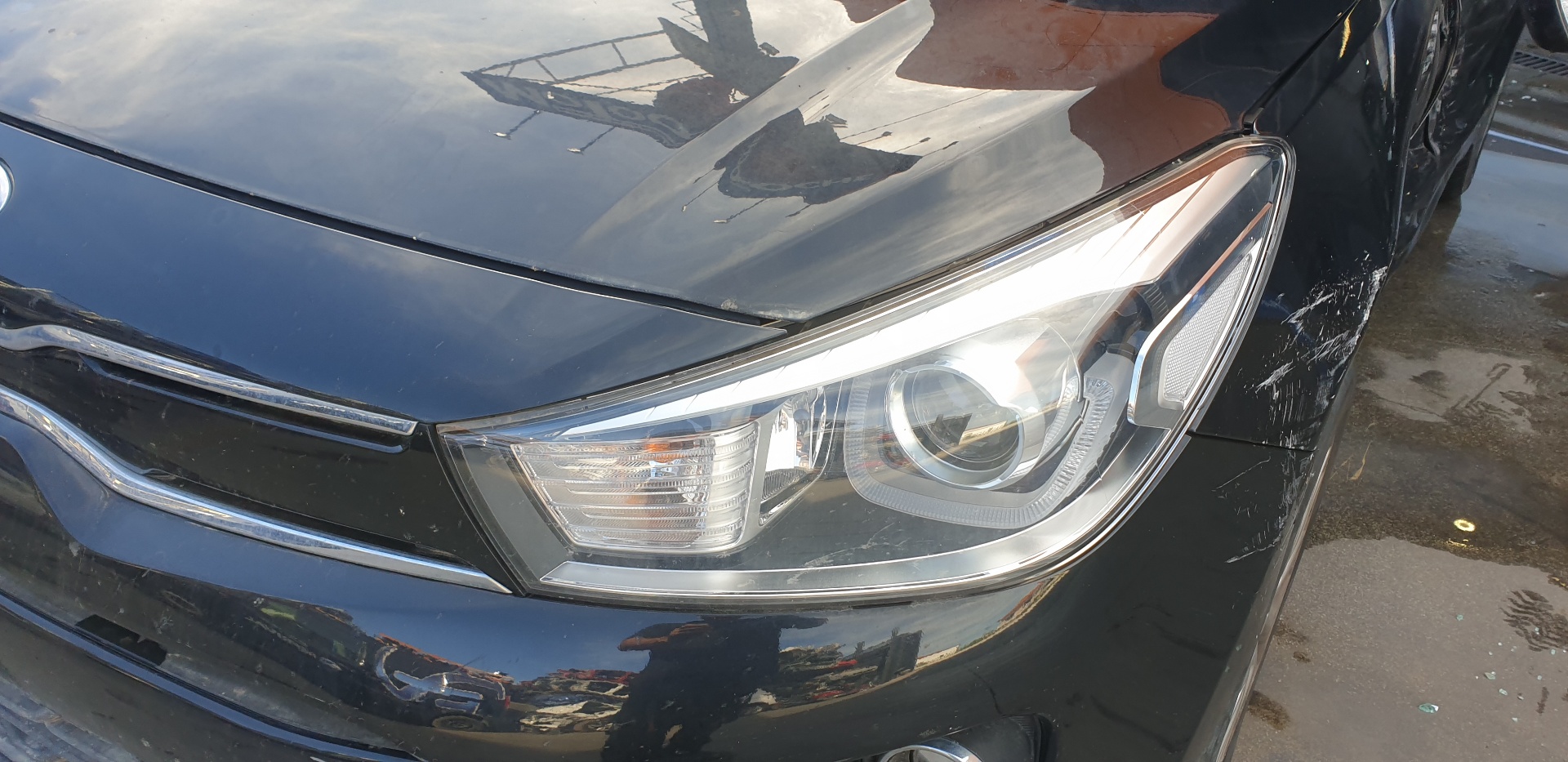 Phare gauche KIA RIO IV (YB, SC, FB) 1.0 T-GDI 100 15528675 | B-Parts