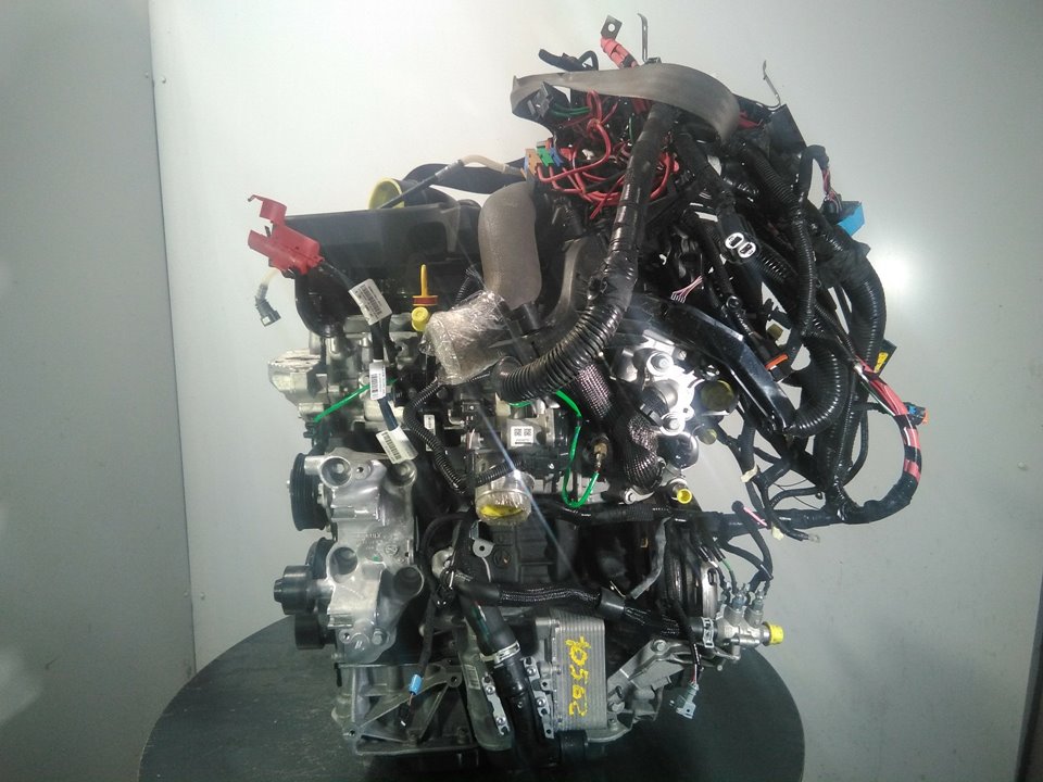 Engine RENAULT MASTER III Van (FV) 10655704 | B-Parts