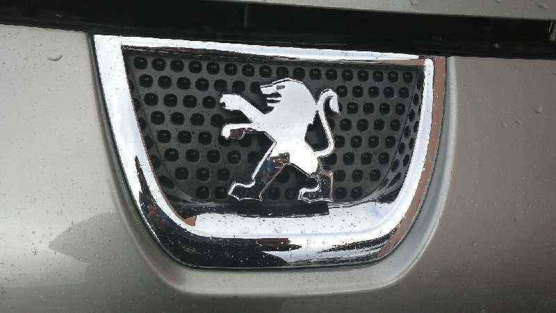Front grille PEUGEOT 3008 MPV (0U_) 2.0 HDi 150 / BlueHDi 150 2429019 ...