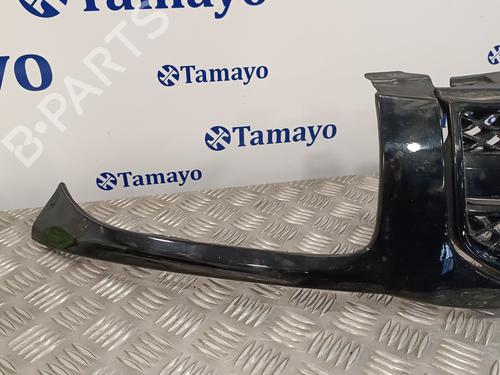 Grilles de calandre TOYOTA RAV 4 II (_A2_) 16676472 | B-Parts