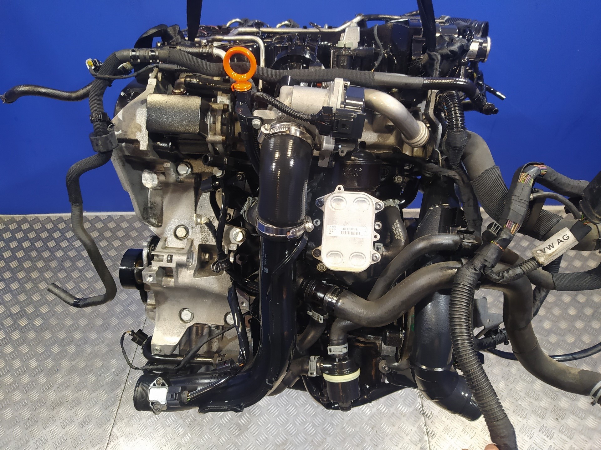 Motor VW POLO V (6R1, 6C1) 1.6 TDI 17043772 | B-Parts