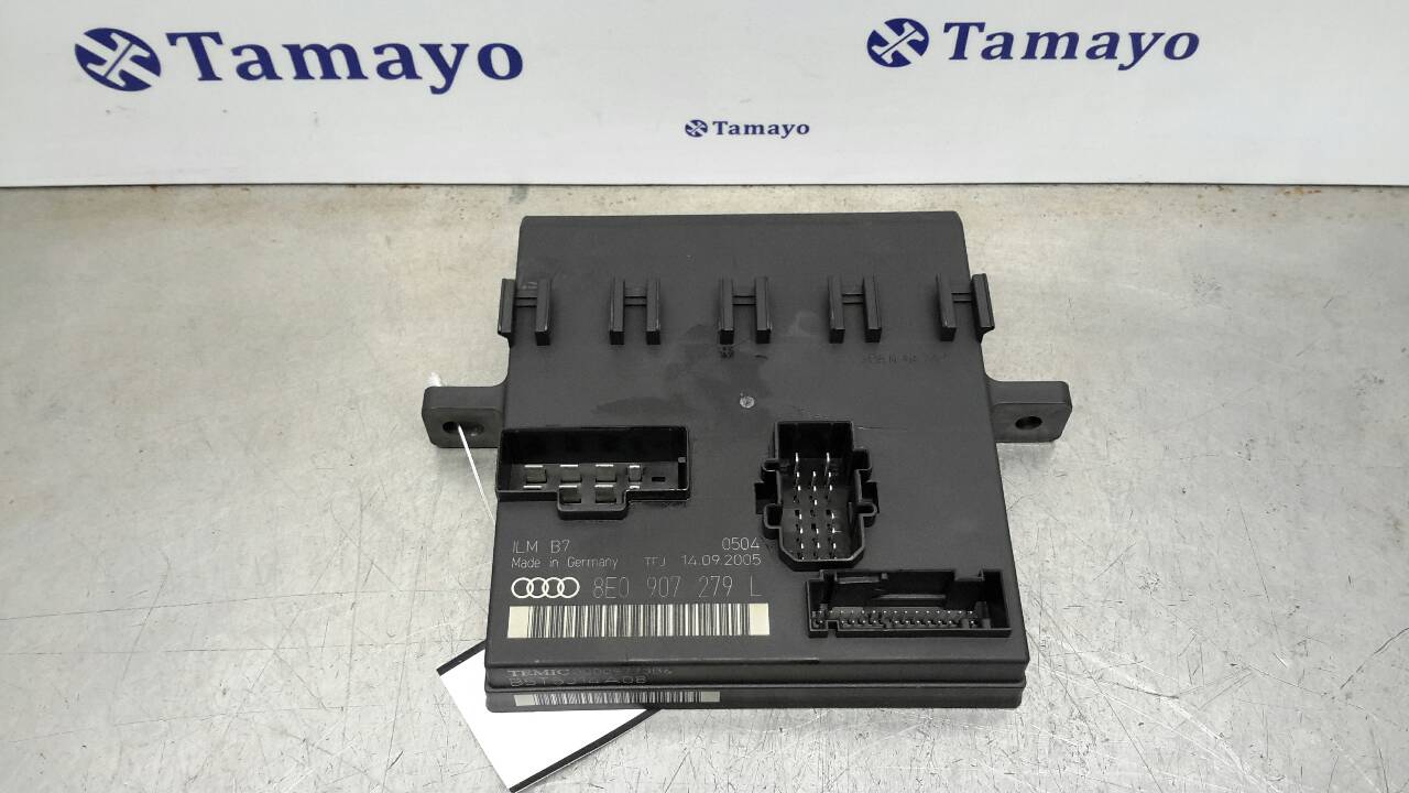 Electronic module AUDI A4 B7 Avant (8ED) 2.0 TDI 6988038 | B-Parts