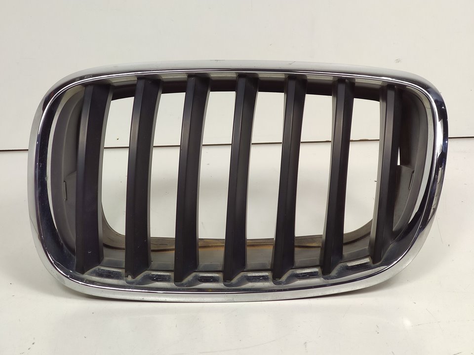 Front grille BMW X5 (E70) xDrive 30 d 9059395 | B-Parts
