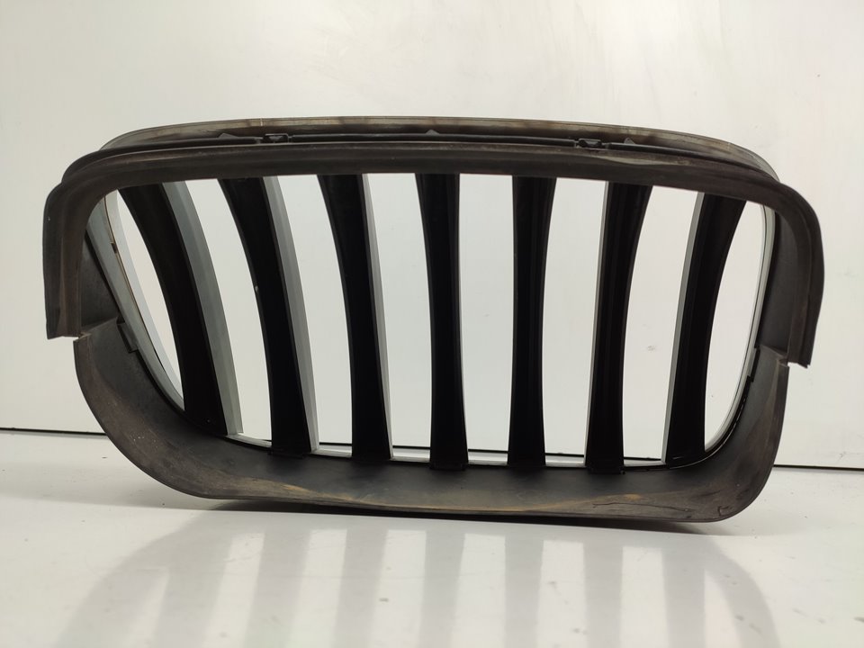 Front grille BMW X5 (E70) xDrive 30 d 9059395 | B-Parts